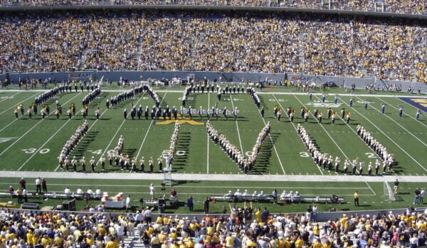 Steve Novotney | Lede News