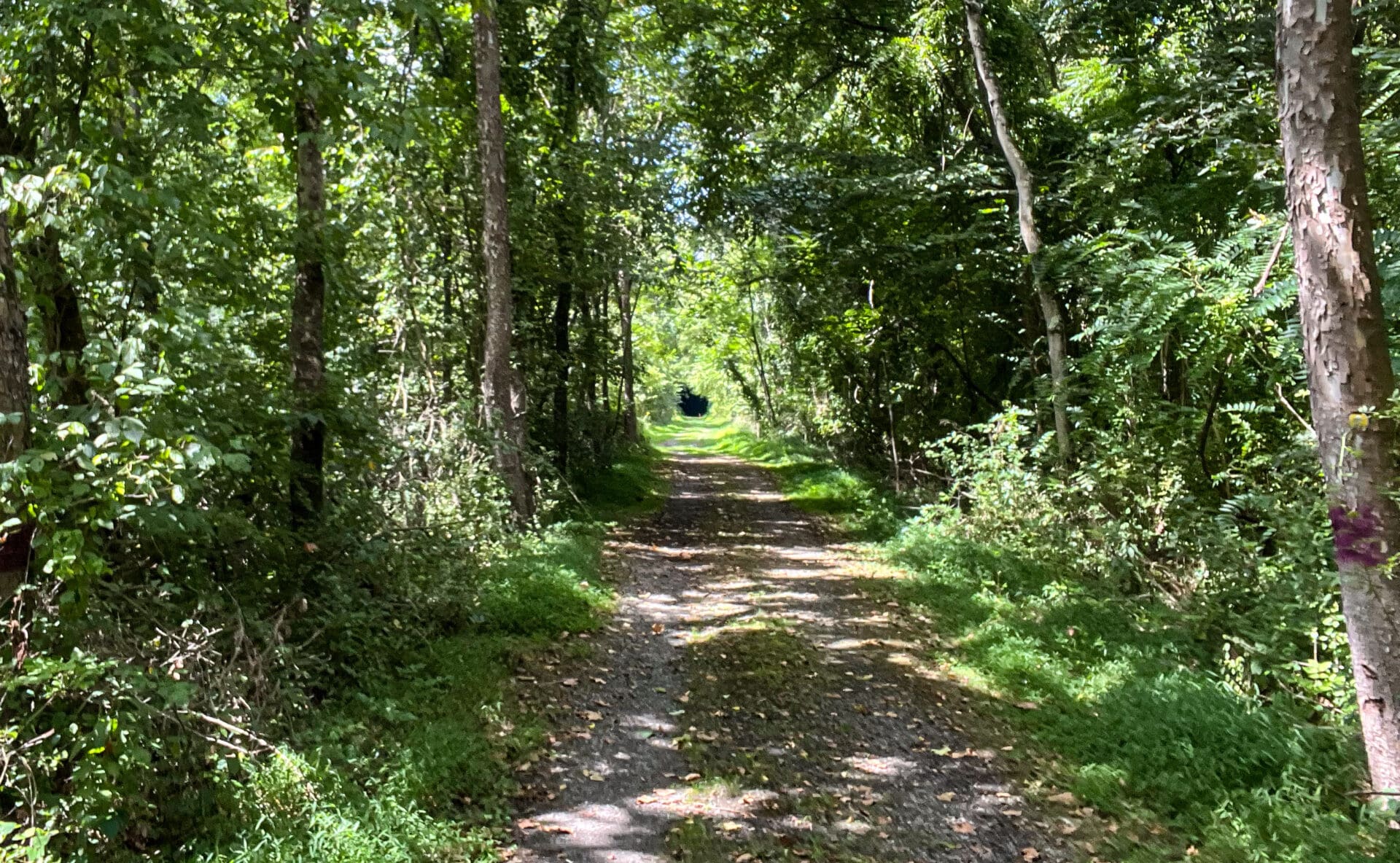 Claysville National Pike Trail Offers a Safe Path for Outdoor ...