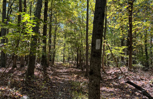 Local Female Planning Once in a Lifetime Hike on Appalachian Trail ...